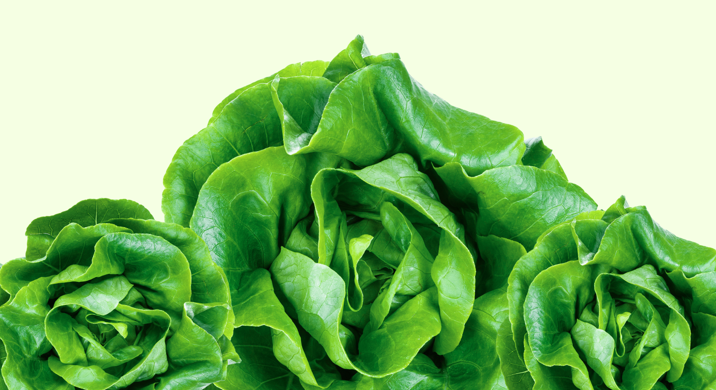5 Reasons Why Nimble Butterhead is More Nutritious | Nimble Farms